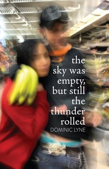 The Sky Was Empty, But Still the Thunder Rolled - Dominic Lyne | Libris